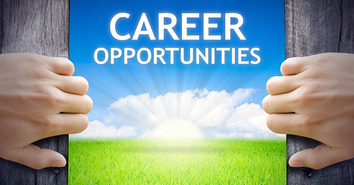 Job Ideas For Girls